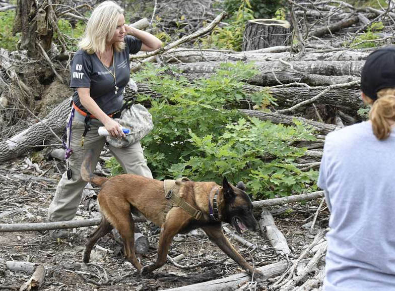 Cadaver Dogs: When They Find Human Remains | SuicideCleanup.com
